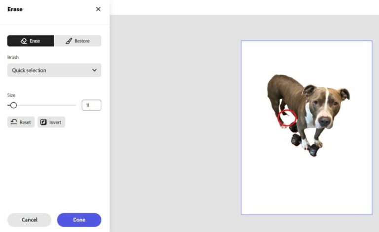 Manipulating Your Photos in Adobe Express - Friesens