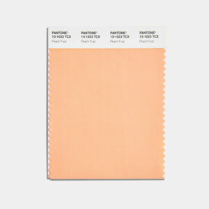 Pantone's 2024 Colour of the Year - Friesens