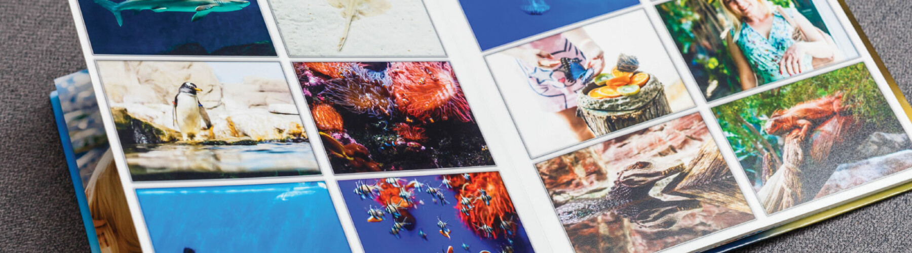 Yearbook Proofing Checklist - Friesens
