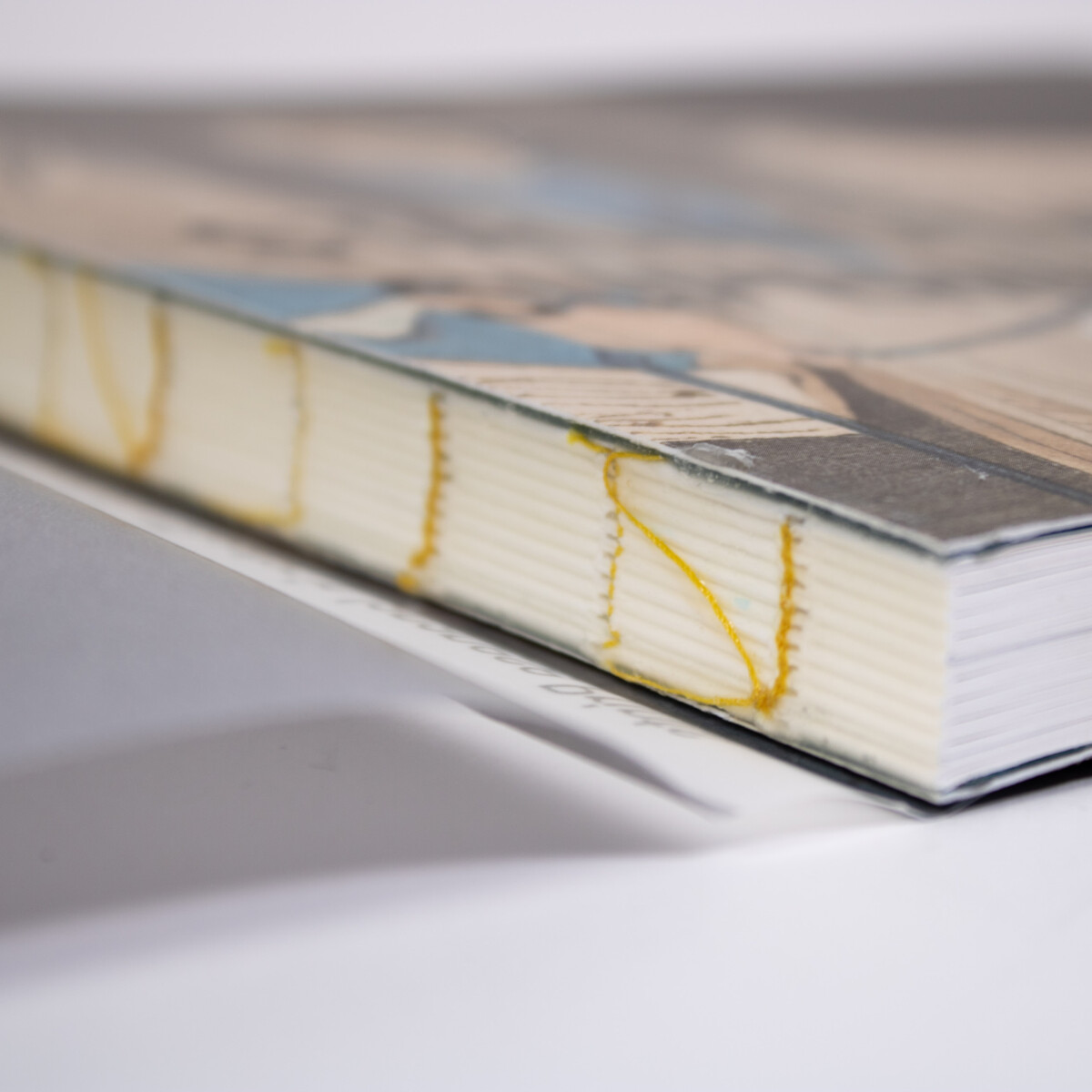 Specialty Book Enhancements | Book Printing | Friesens Corporation