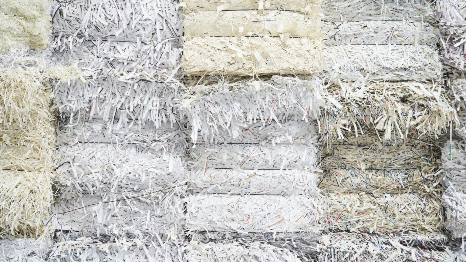 Celebrate Sustainability | National Recycling Day | Friesens Corporation