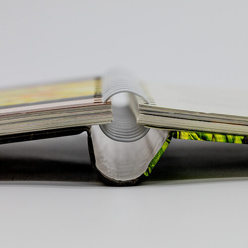 Concealed Wire-O Book Binding | Friesens Corporation